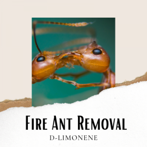 Oxalic Acid Archives • FlaLab.com